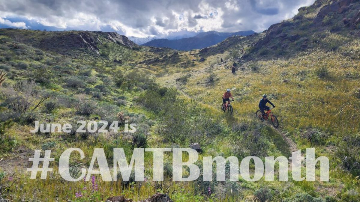 California To Declare June As 'California Mountain Biking Month'