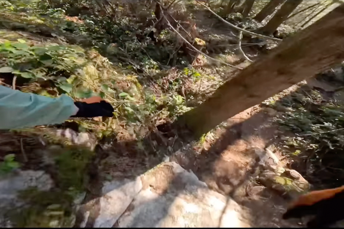 Rider's Spirits Remain High Despite Belly Flopping Off A Cliff