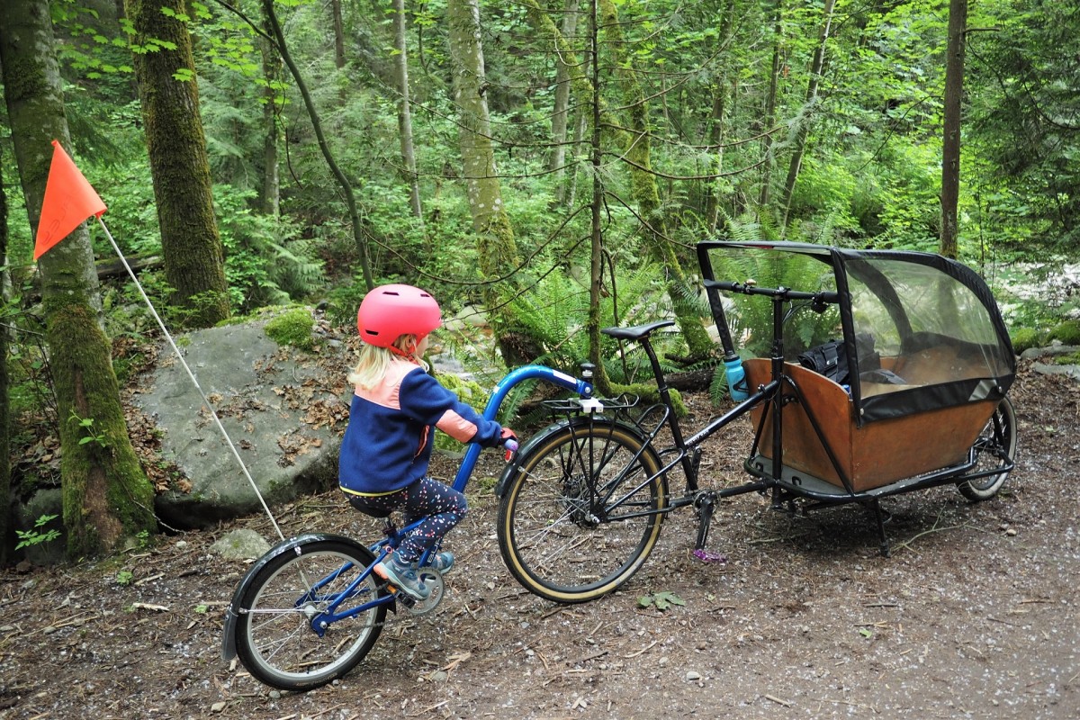 Four Ways to Single-Speed Your Hardtail