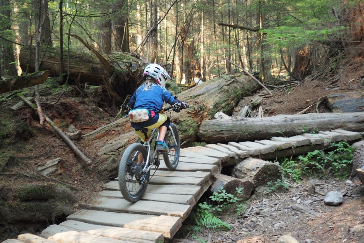 Kids’ Bike Buying Advice from A Mechanic – Gears & Shocks