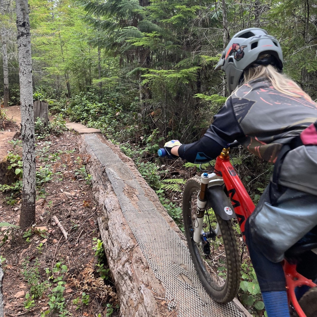 Kids’ Bike Buying Advice from A Mechanic – Gears & Shocks