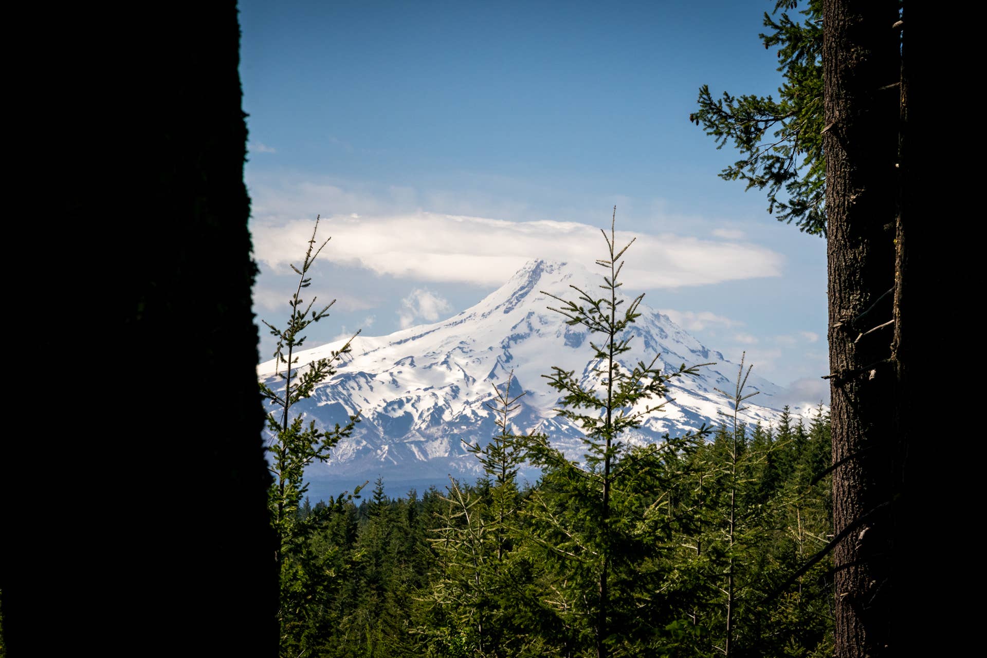 Race Report: Cascadia Dirt Cup Round One, Post Canyon