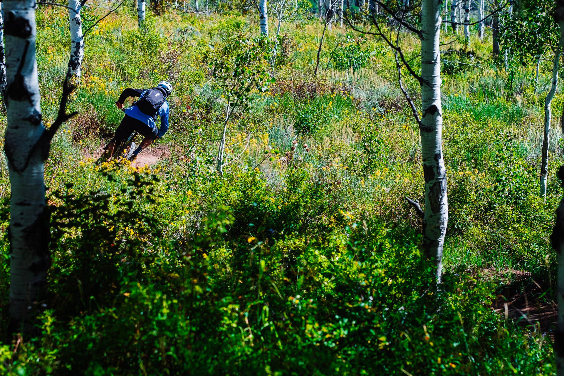 Park City, UT: mountain biking community and trails
