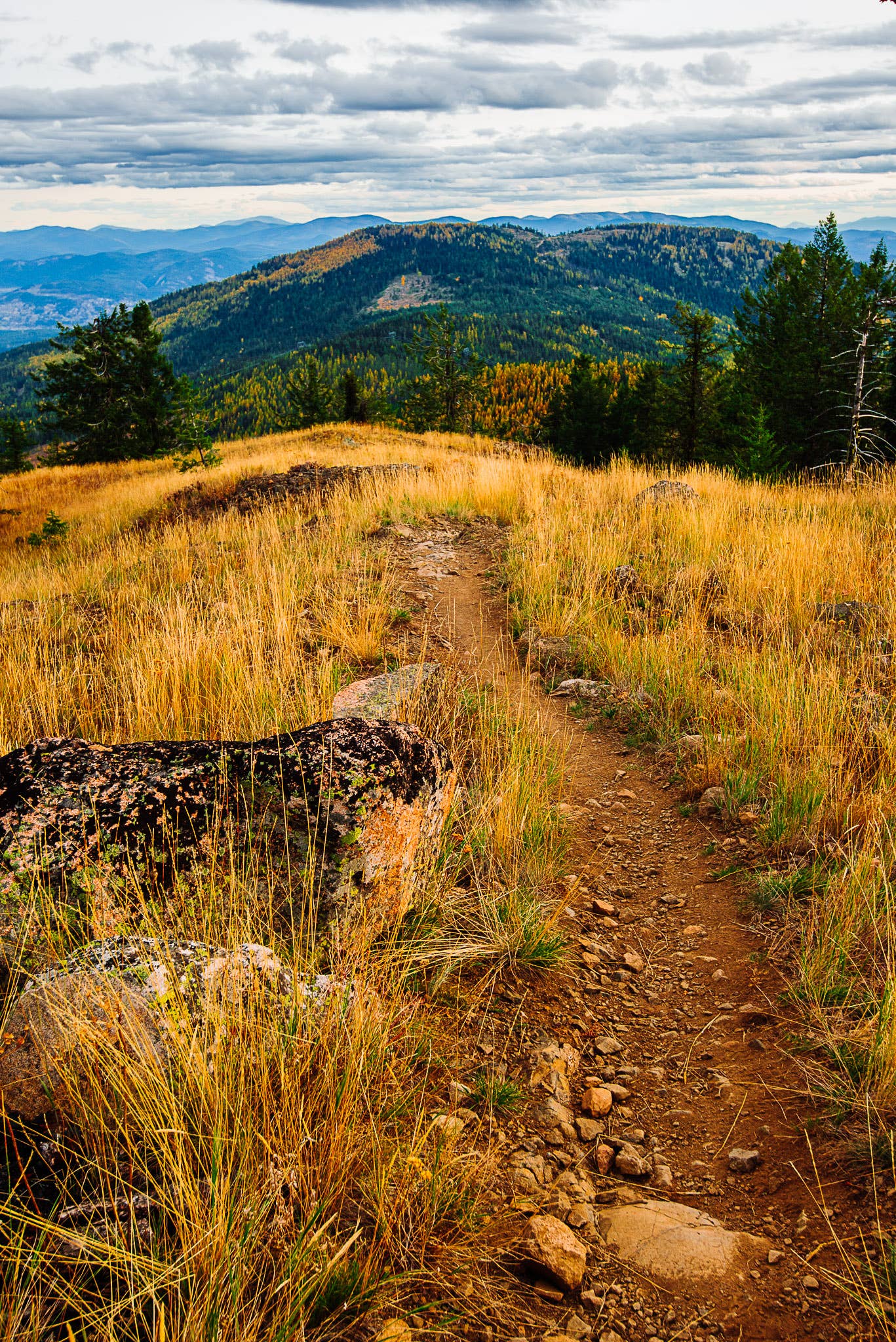 Ride Guide: Rossland, BC