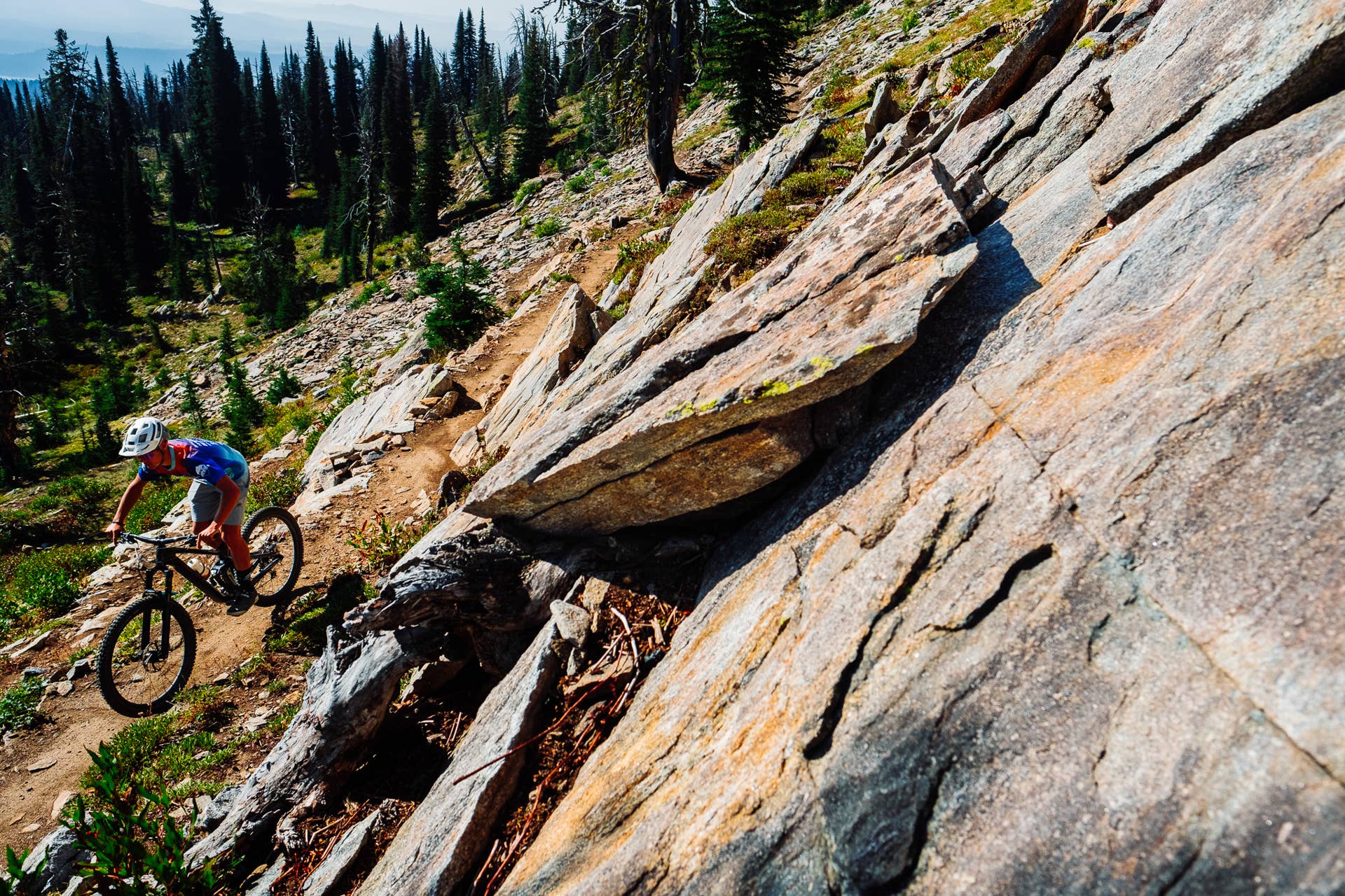 McCall, Idaho: Mountain Biking Trail Guide