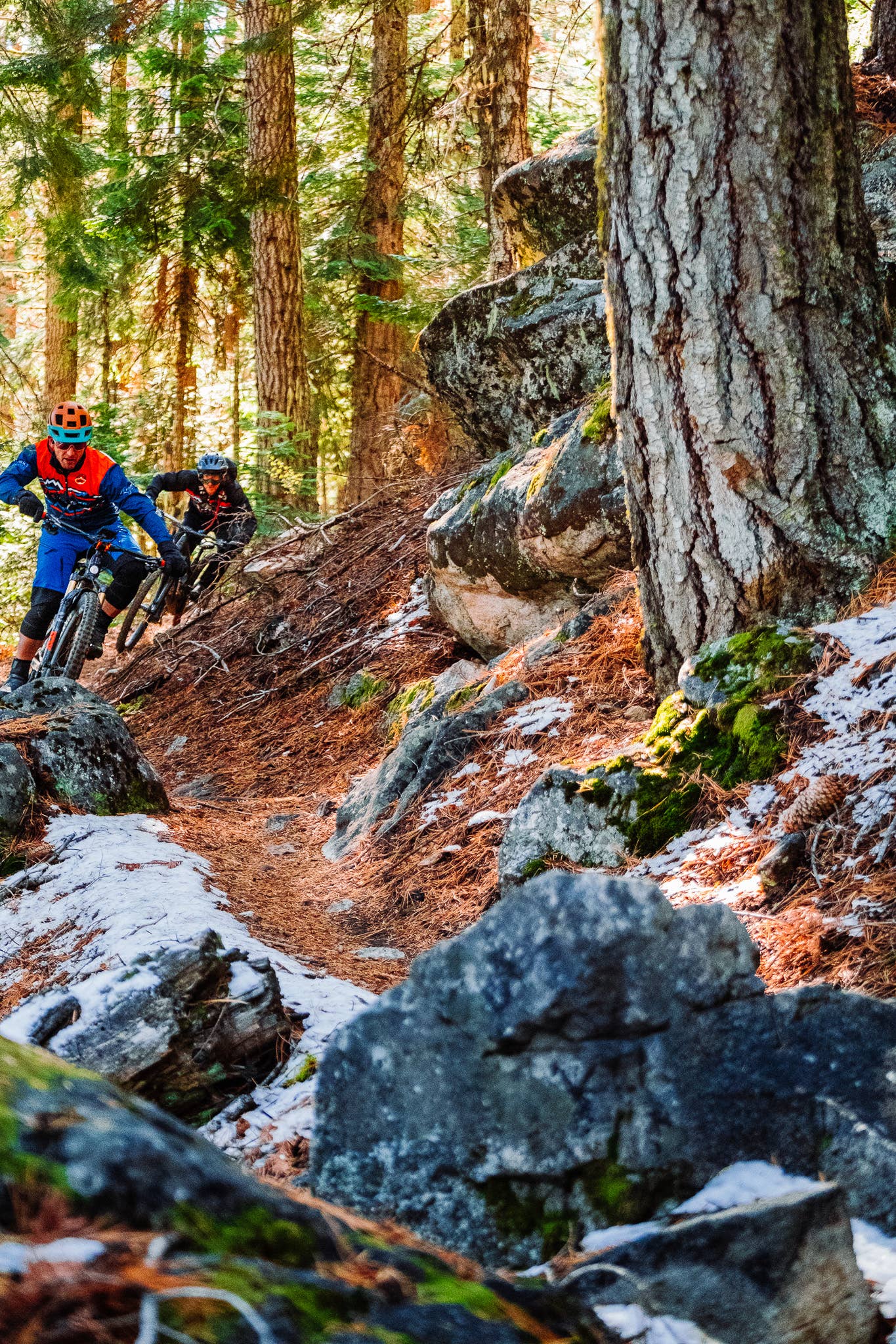 Mountain Biking Destination: Ashland, Oregon