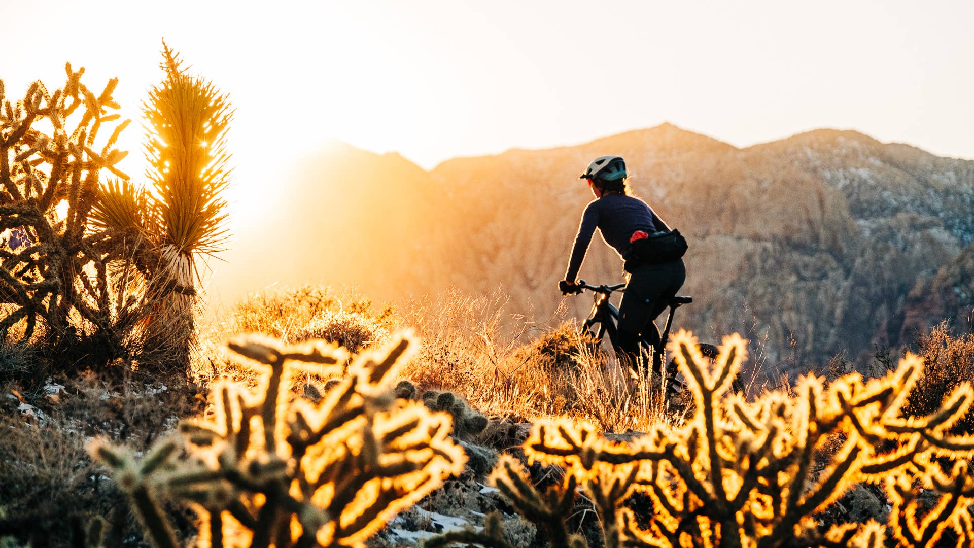 Bike Destination: Las Vegas, Nevada - BikeMag