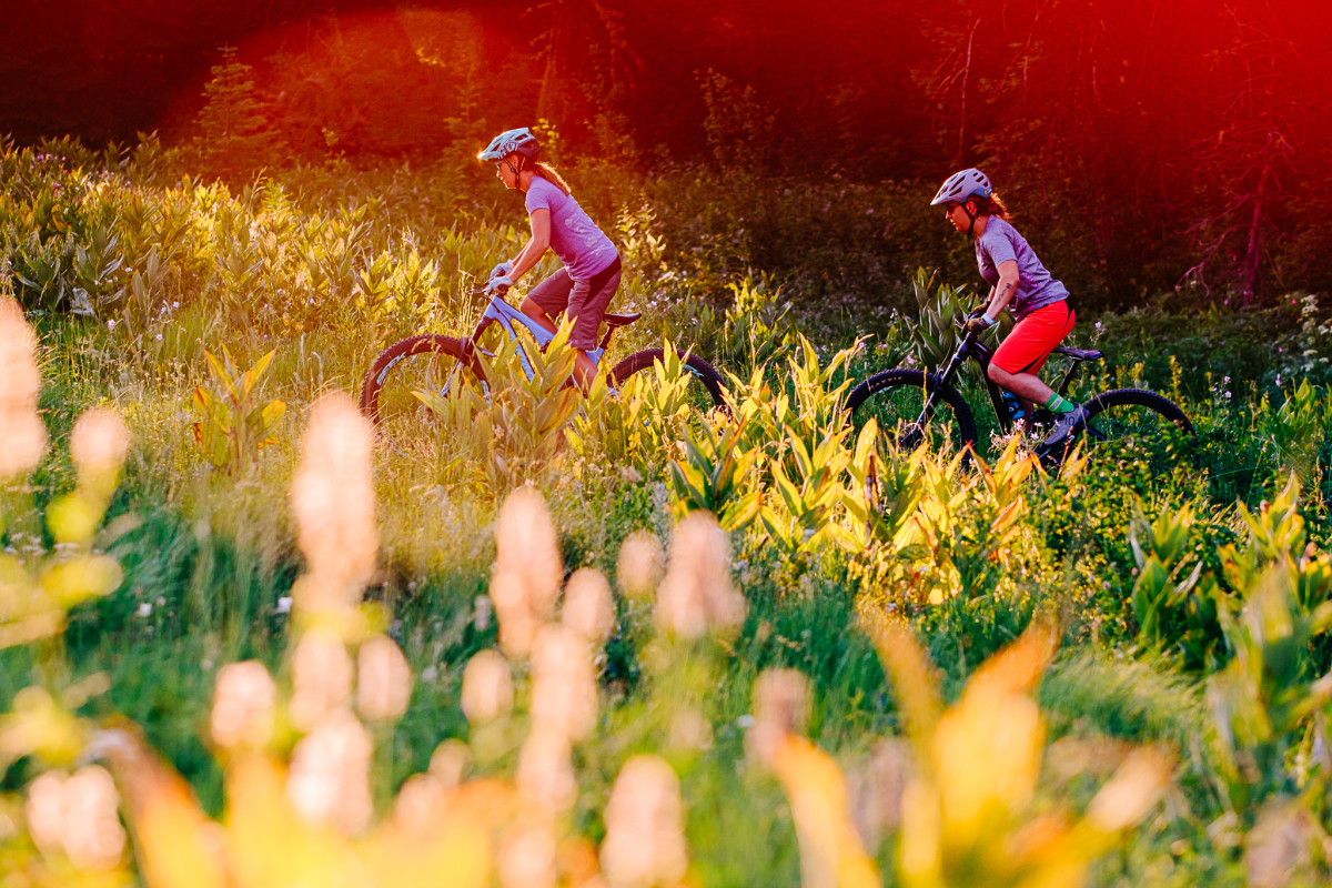 How to Mountain Bike: Ultimate Beginner’s Guide with Step-by-Step ...