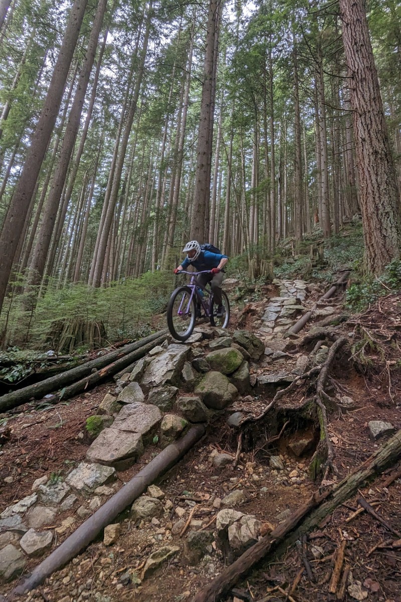 How To Hoard Mountain Bike Tires