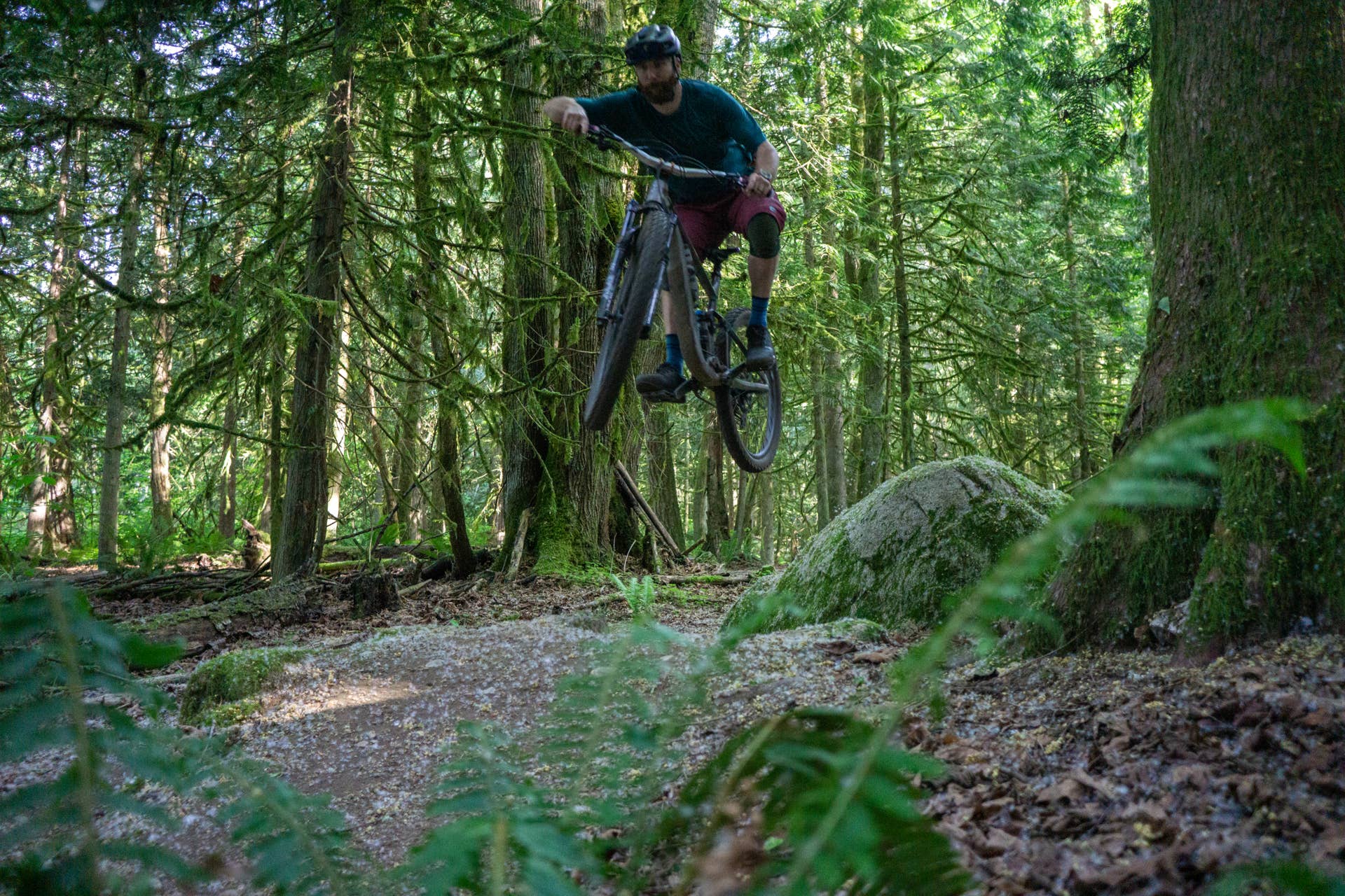 Tested: Giant Trance X Review