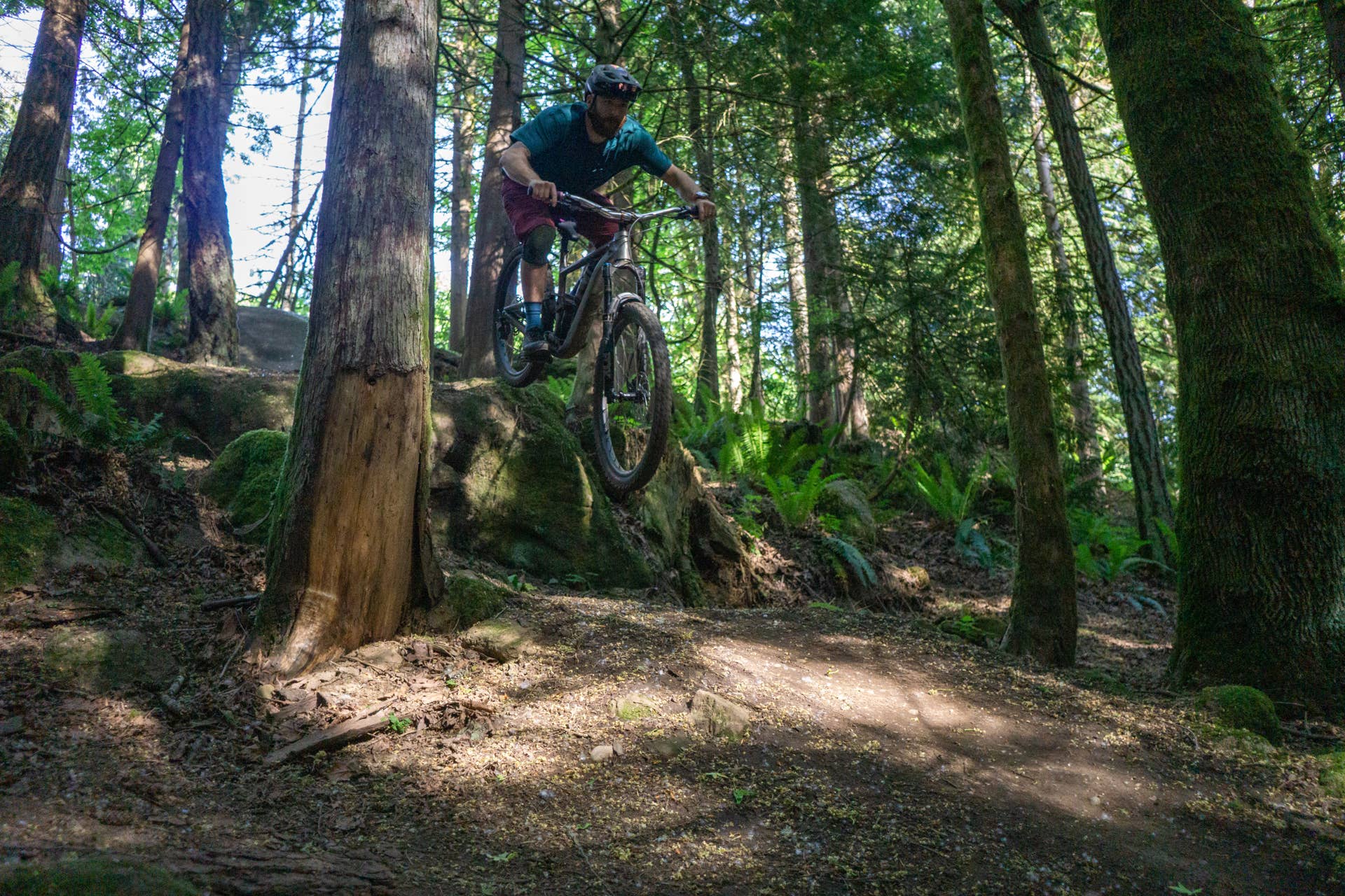Tested: Giant Trance X Review