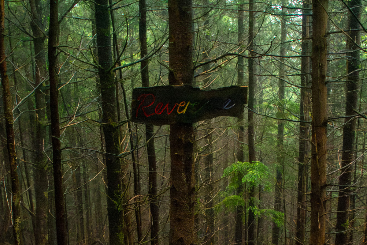 Race Report : Cascadia Dirt Cup Round Three, Raging River, WA