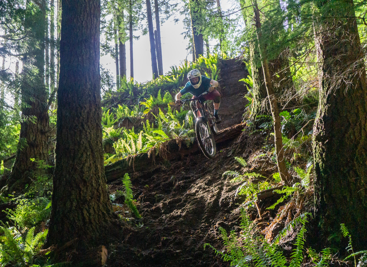 Forge+Bond Shift EM 30 Wheels Review