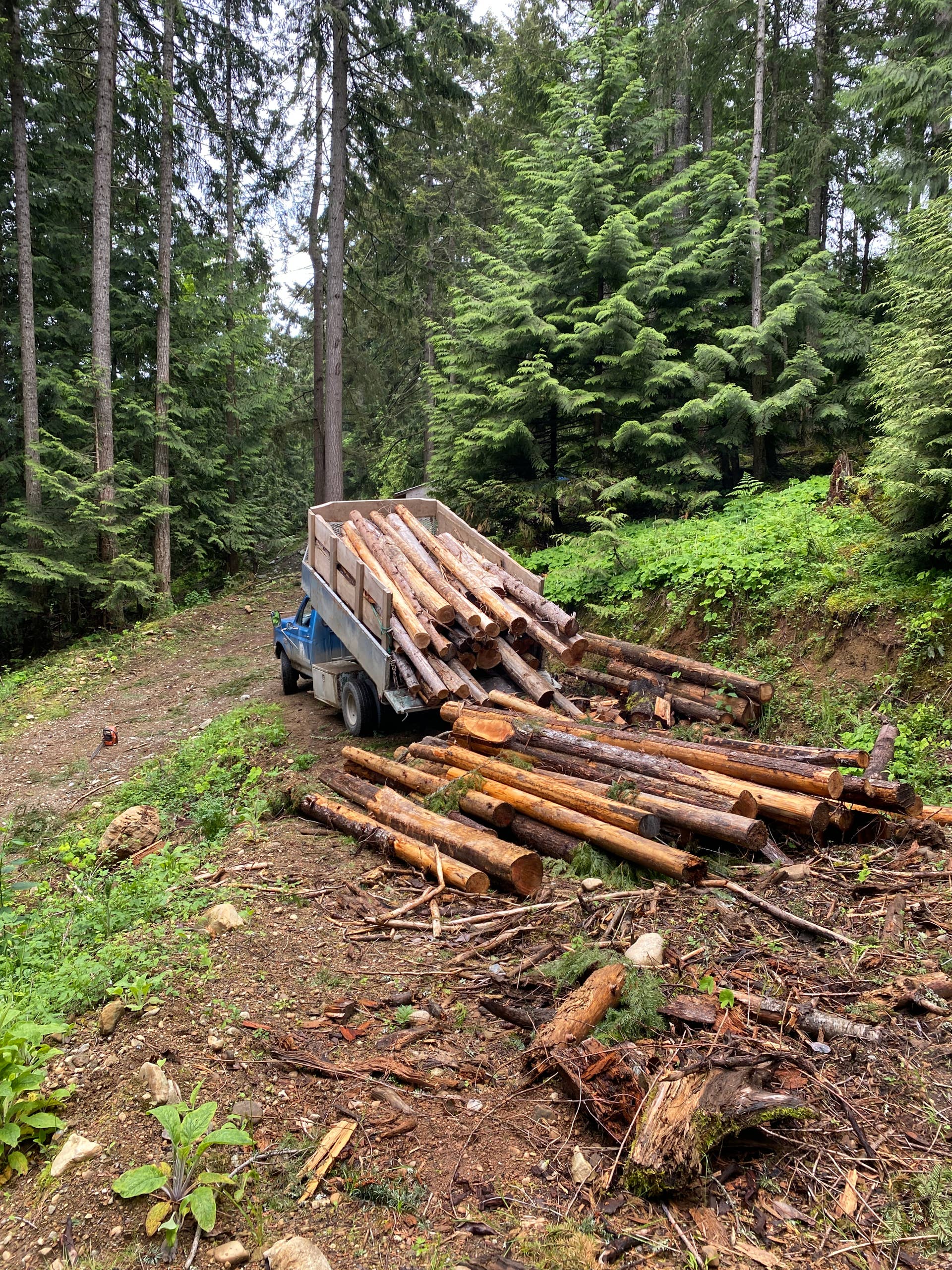 Backyard Builds: Reece Wallace, Vancouver Island, BC.