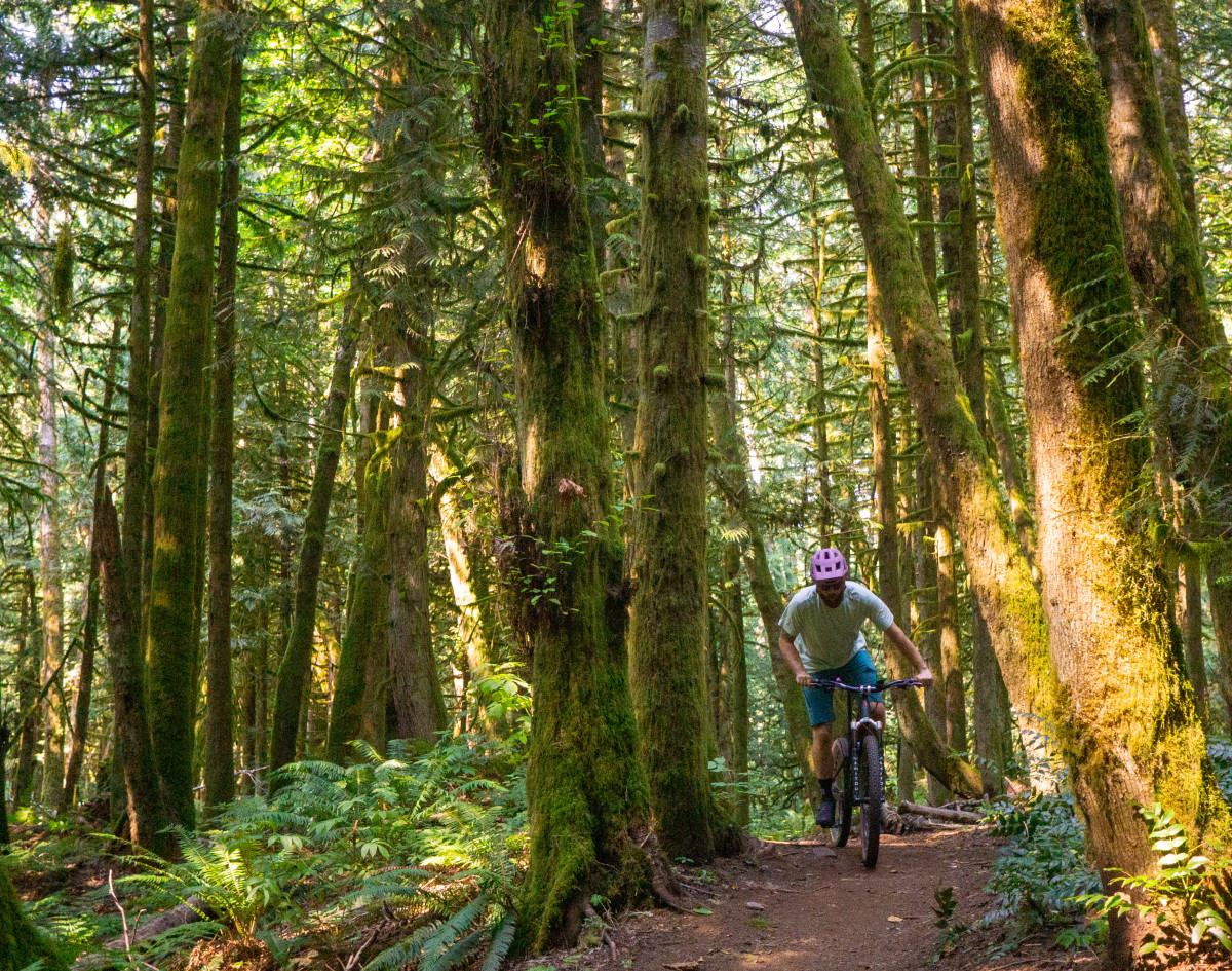 Tested: Trek Top Fuel