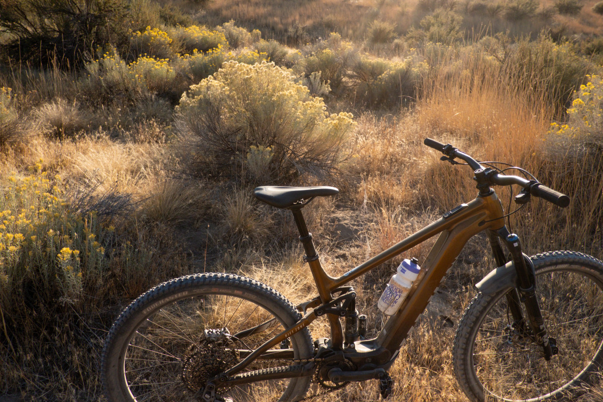 Our First Look and Review of the Marin Rift Zone EL