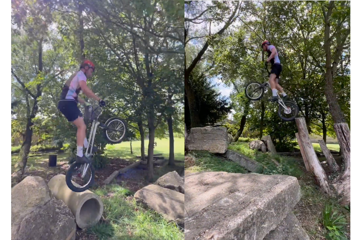 Cyclist Climbs Tree With His Custom Bike - BikeMag