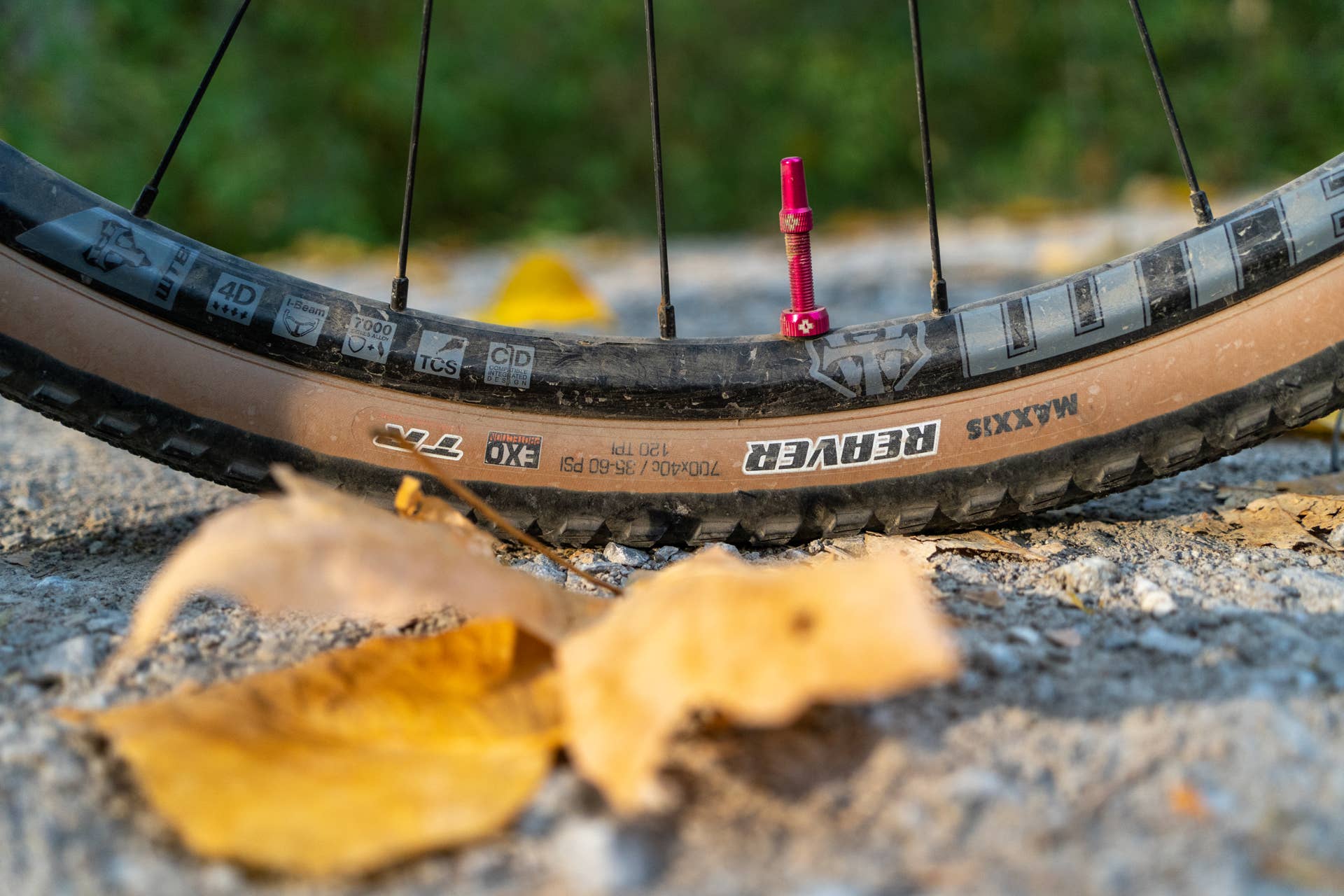 First Impressions: Maxxis Reaver