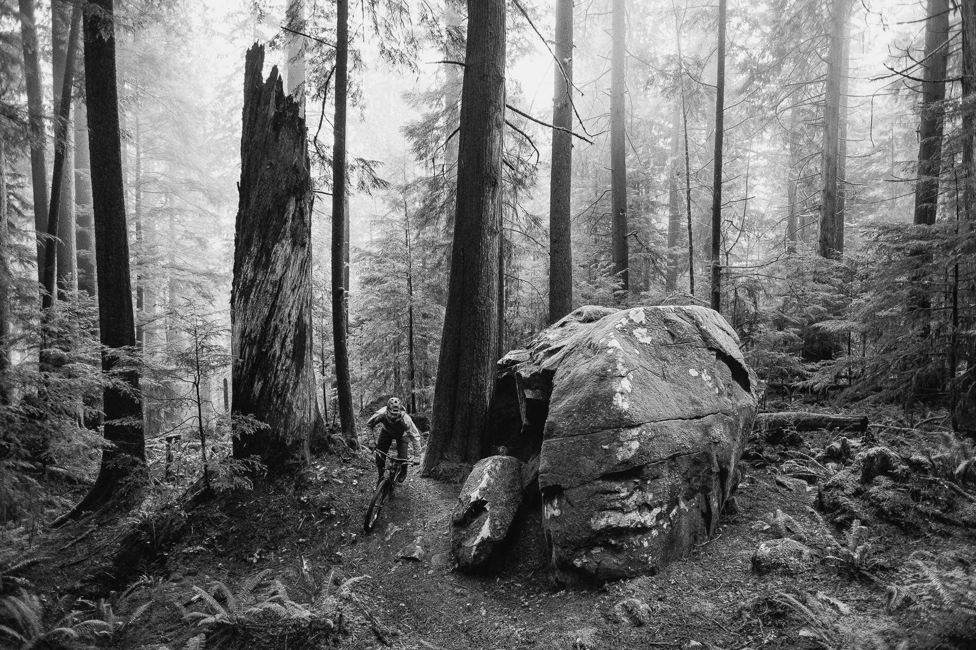 Capturing the Essence of Mountain Biking in British Columbia