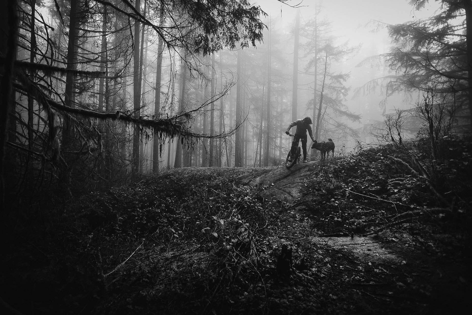Capturing the Essence of Mountain Biking in British Columbia