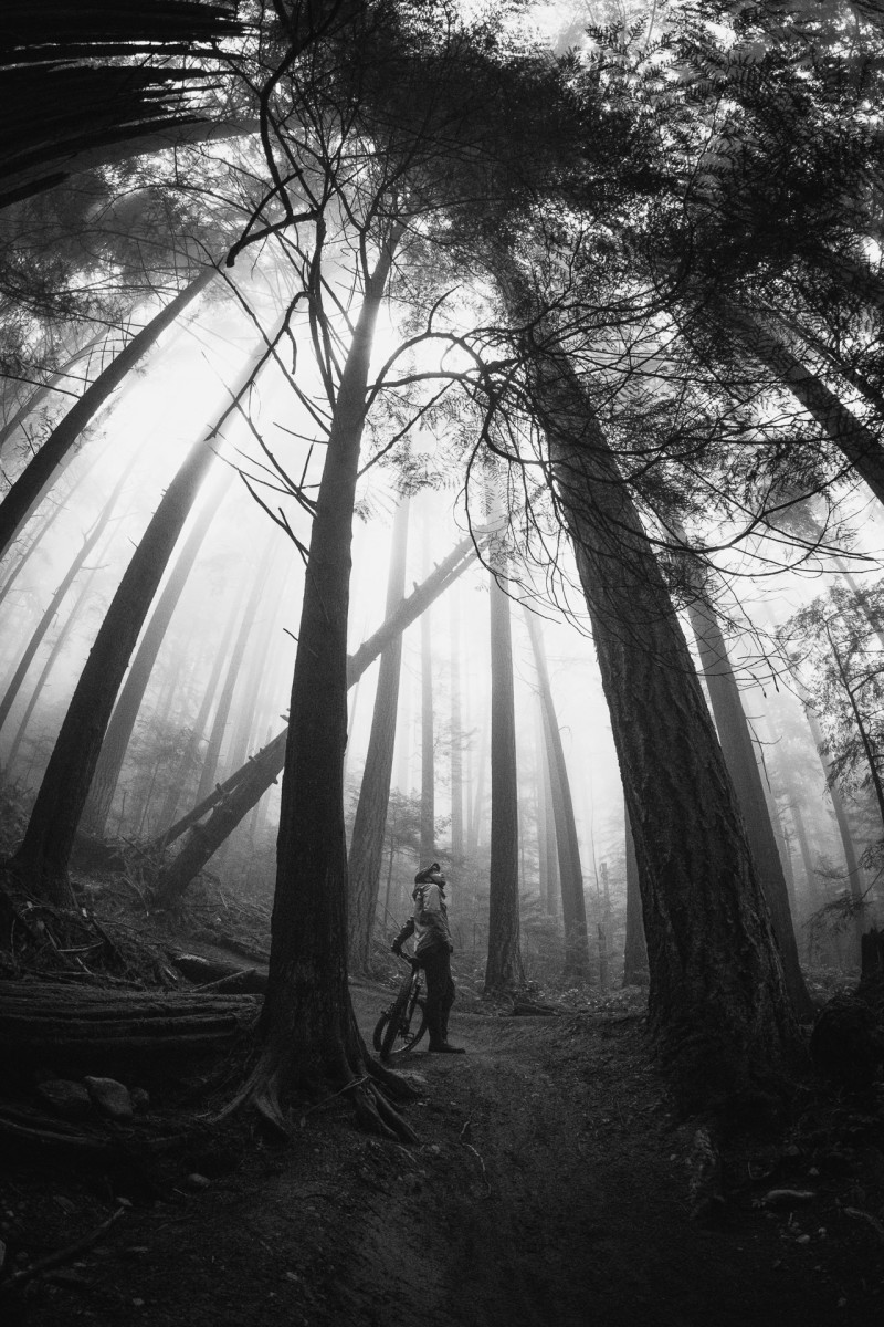 Capturing the Essence of Mountain Biking in British Columbia