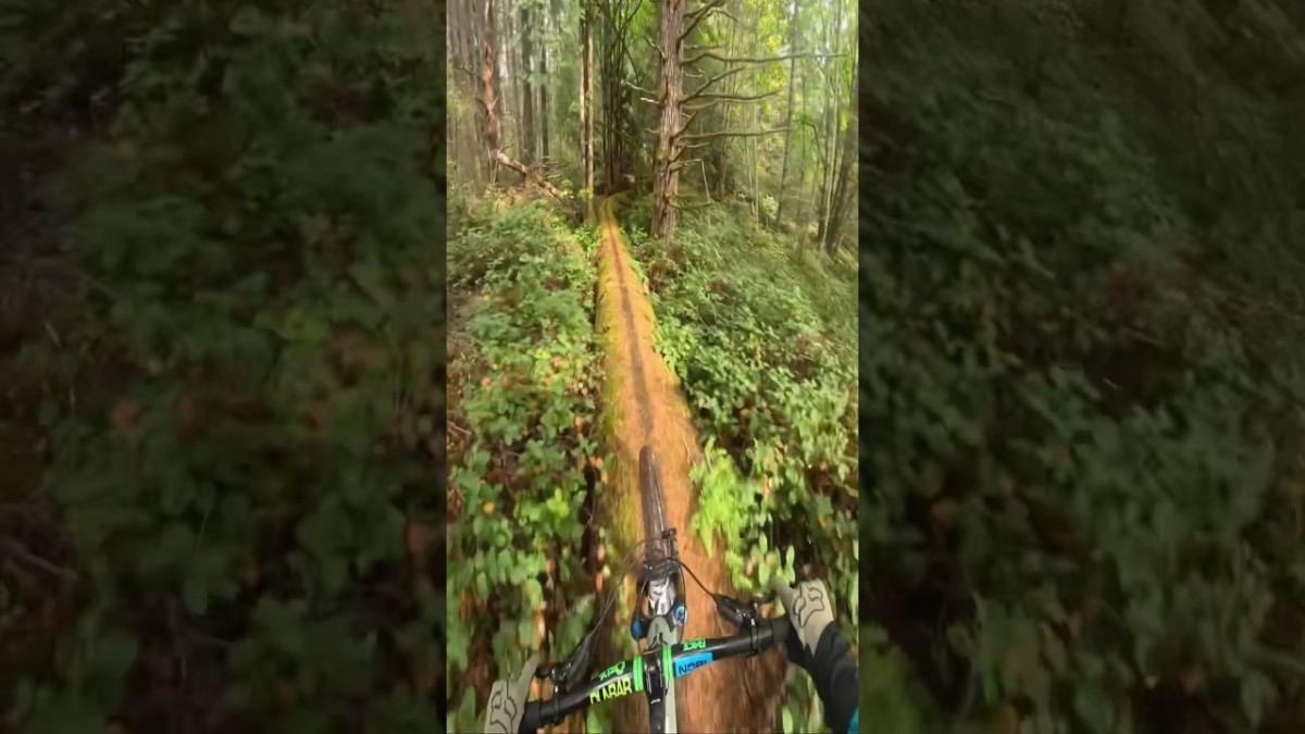 Rider Explores Jungle On Abandoned Water Pipe Trail