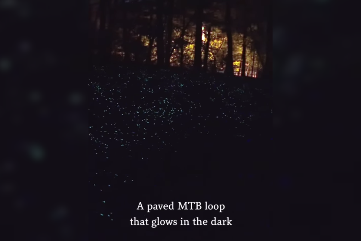 YouTuber Shows Off Glow In The Dark Mountain Bike Trail