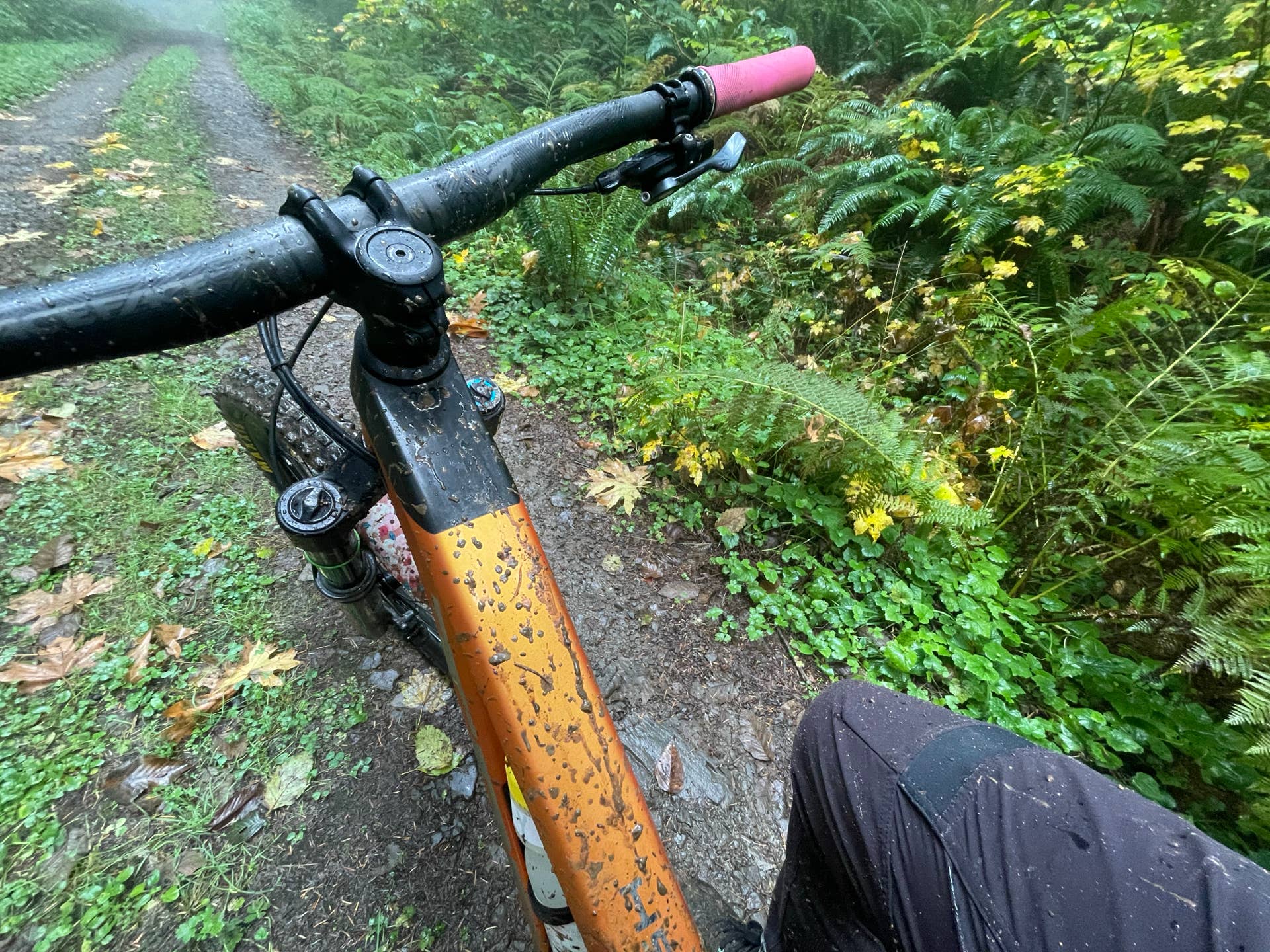 Ten Things I’d Rather Do Than Clean My Bike