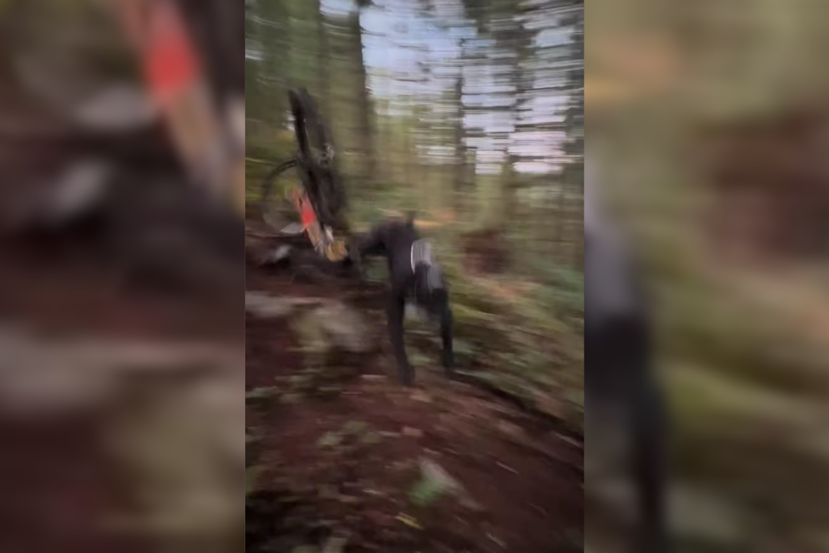 Max Grayston Is Okay After Terrifying Crash