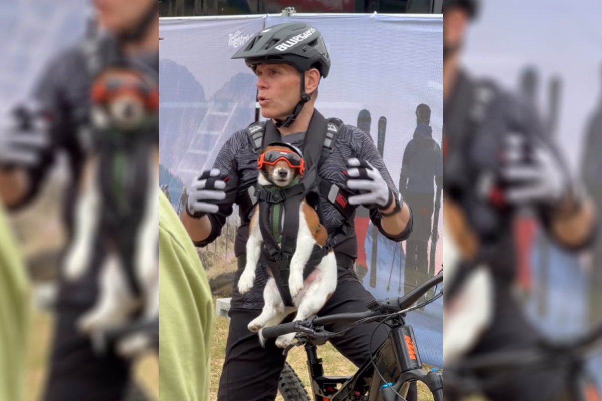 Sparky' Is The Ultimate Trail Dog