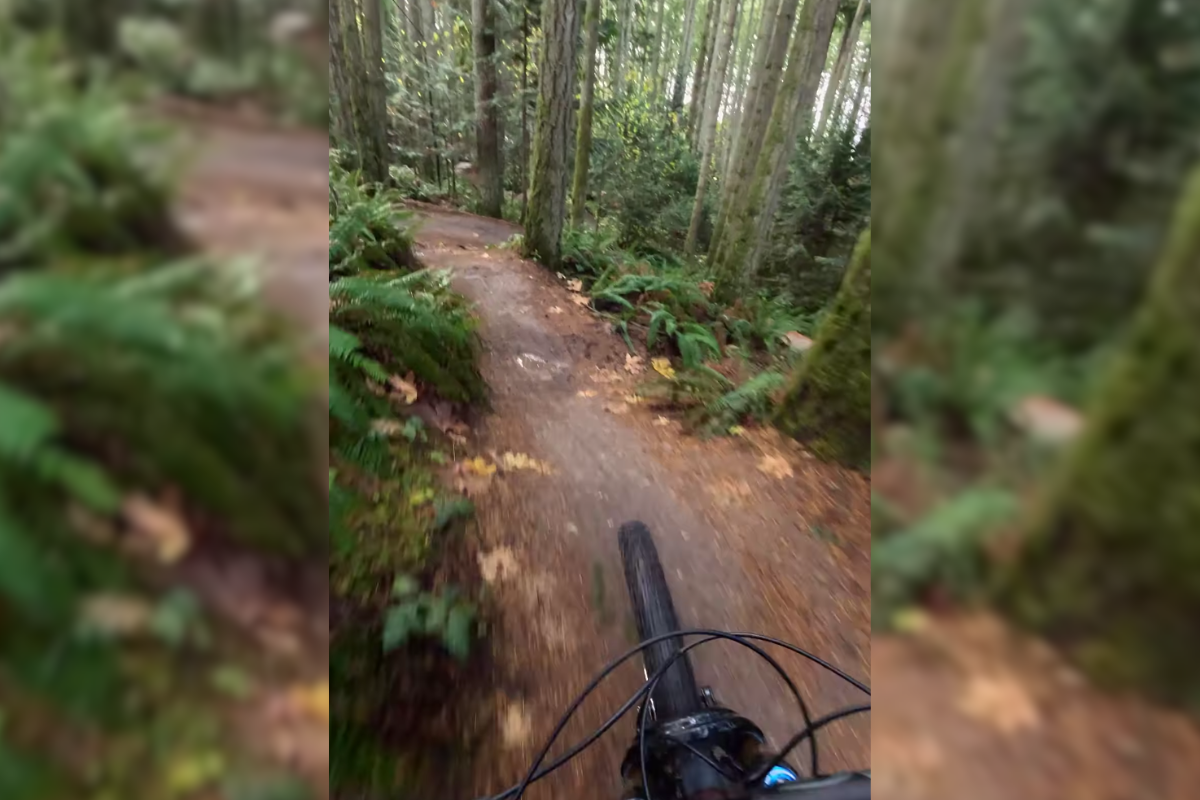 This Amazing Trail System Is Only 20 Minutes East Of Seattle