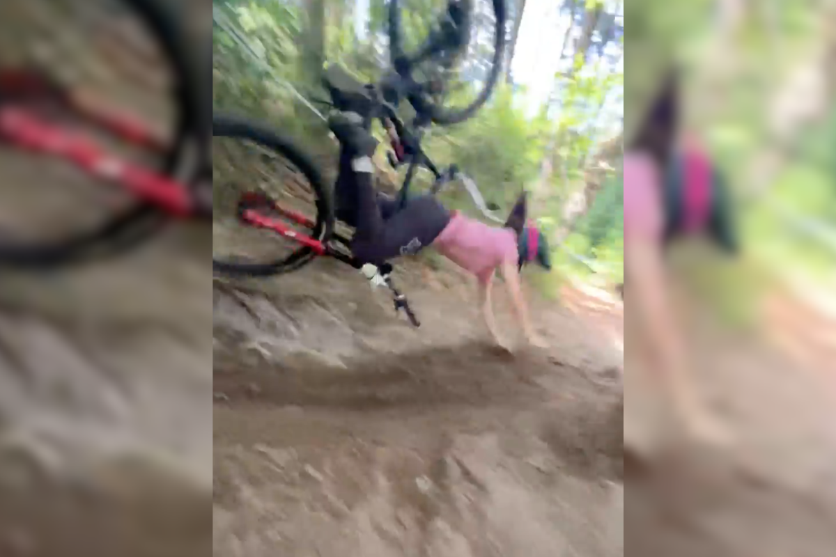 Terrifying Downhill Race Clip Reemerges