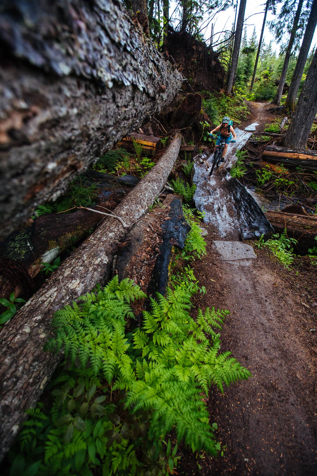 Trusting Nature—Seasonal Exploration With Photographer Ryan Creary