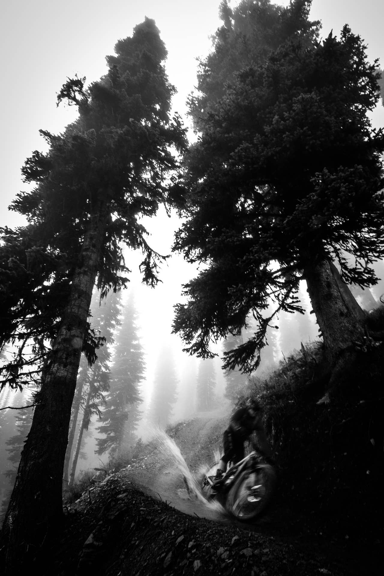 Trusting Nature—Seasonal Exploration With Photographer Ryan Creary