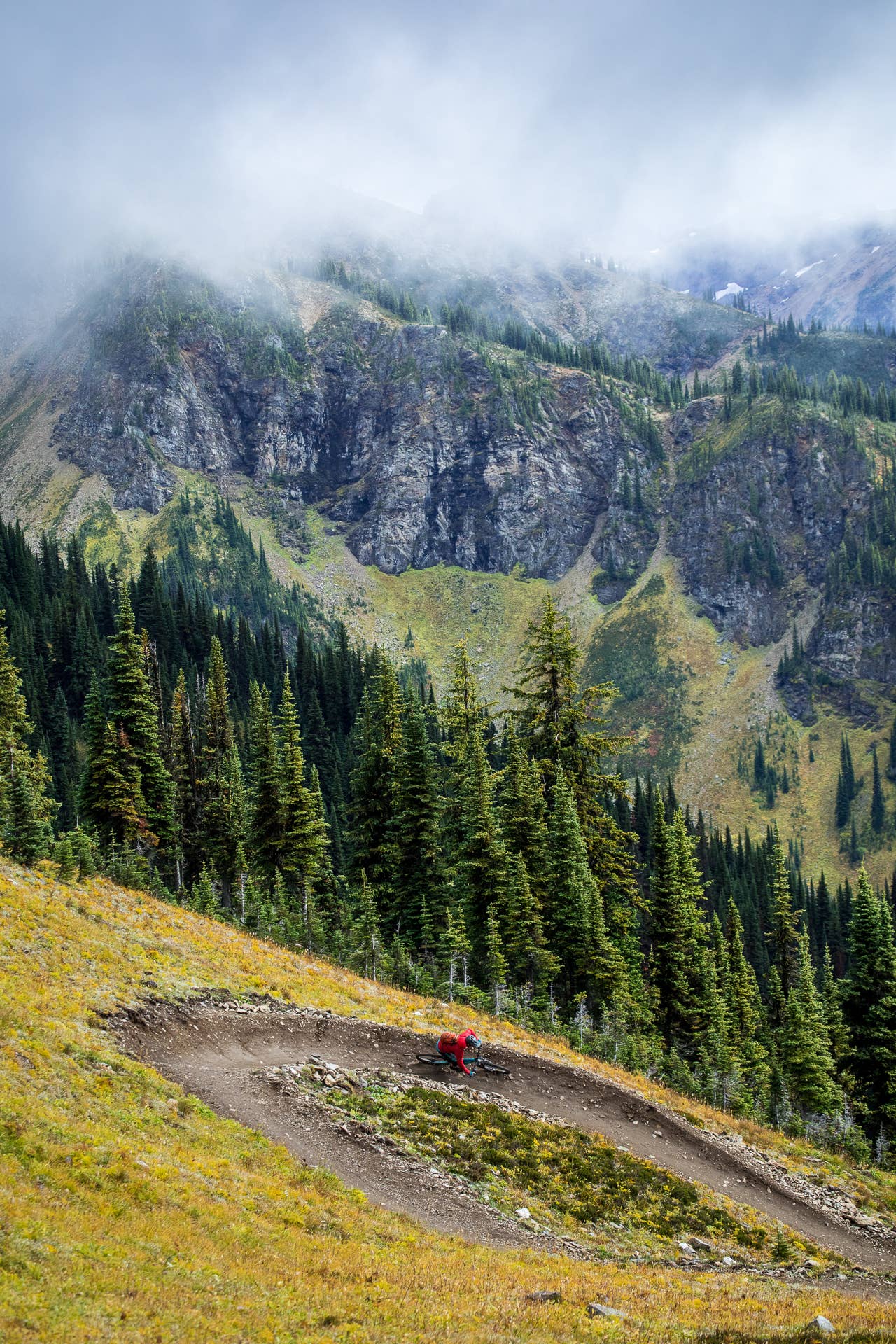 Trusting Nature—Seasonal Exploration With Photographer Ryan Creary