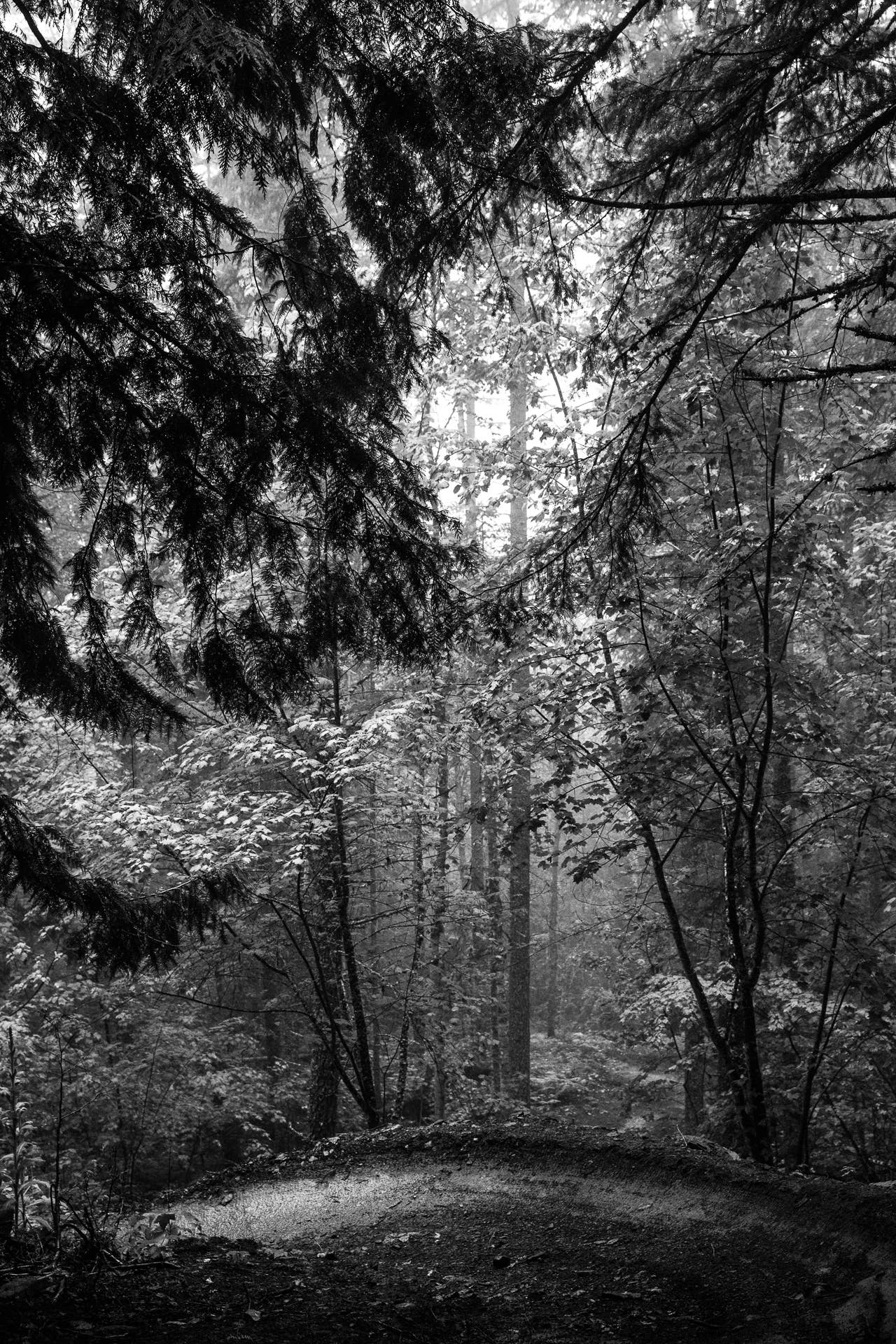 Trusting Nature—Seasonal Exploration With Photographer Ryan Creary