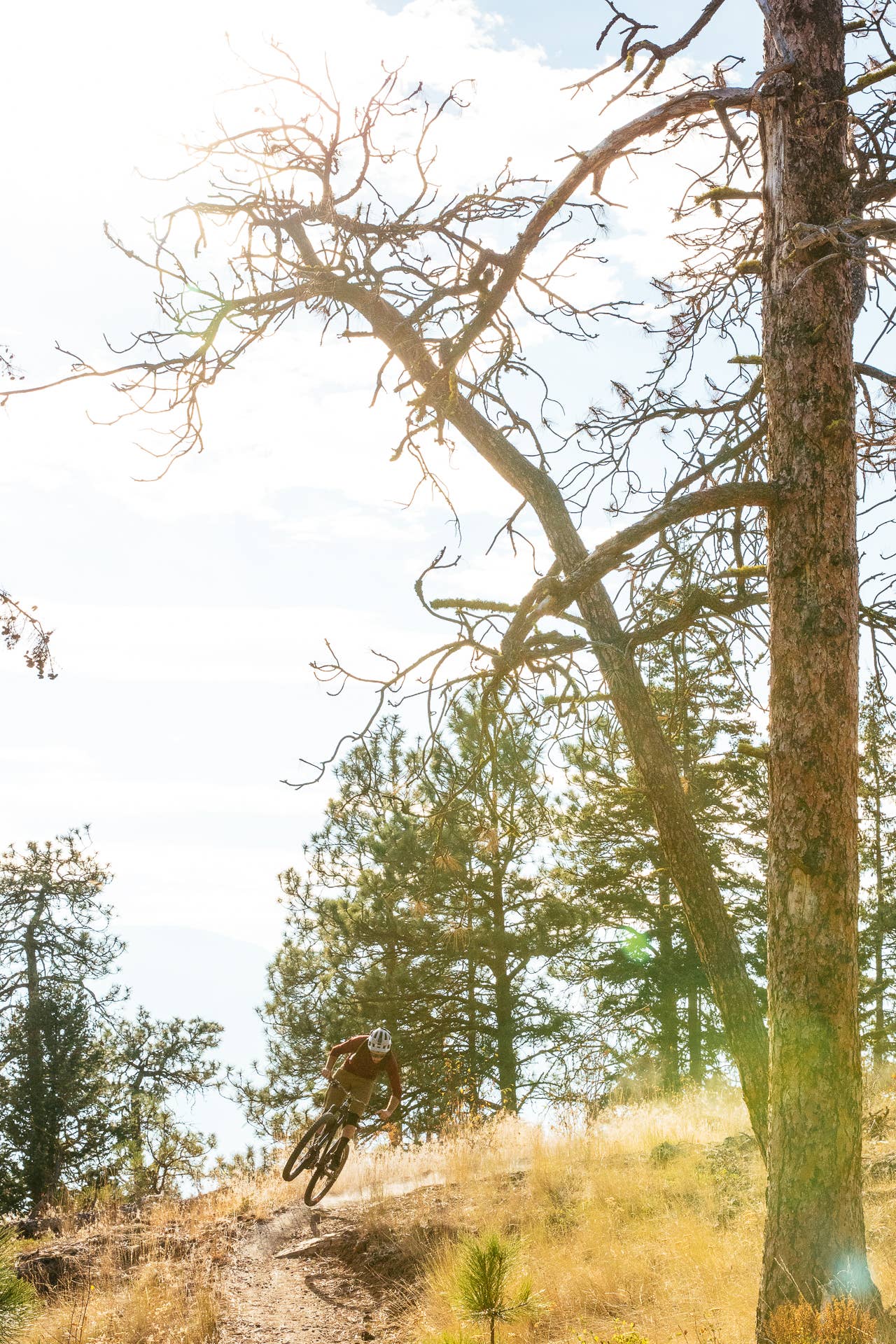 Trusting Nature—Seasonal Exploration With Photographer Ryan Creary