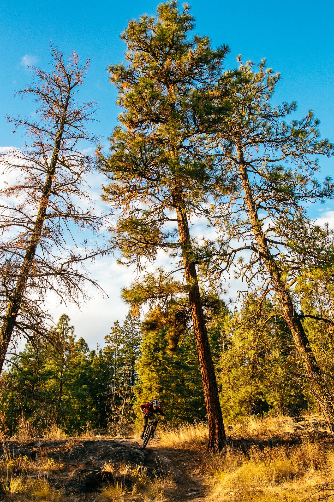 Trusting Nature—Seasonal Exploration With Photographer Ryan Creary