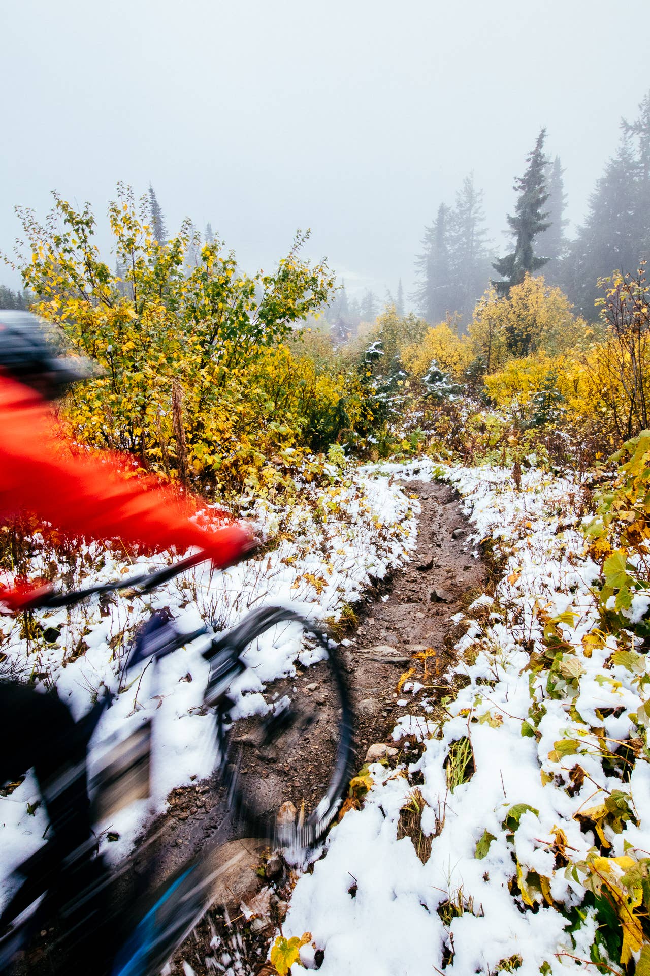 Trusting Nature—Seasonal Exploration With Photographer Ryan Creary
