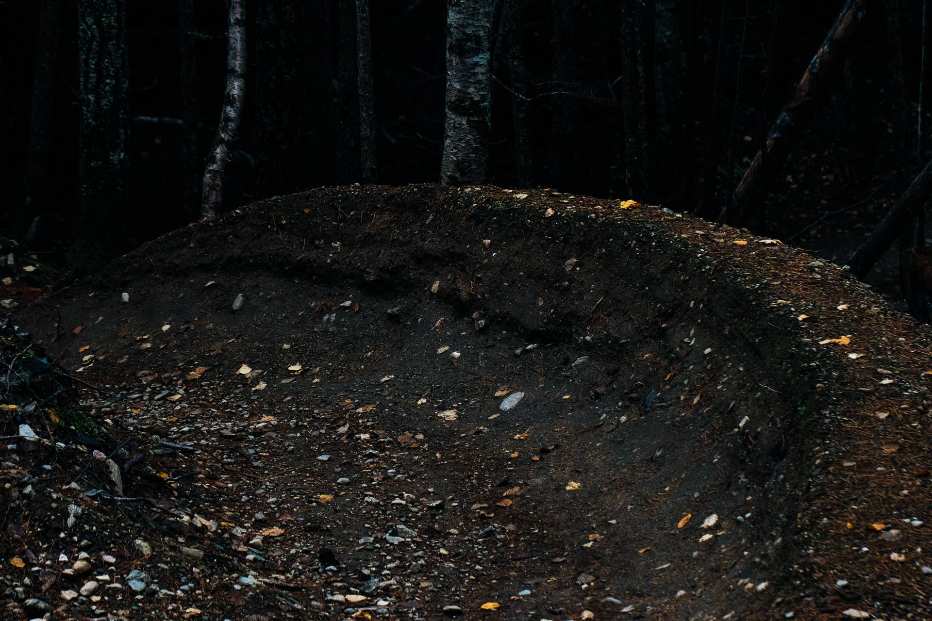 Trusting Nature—Seasonal Exploration With Photographer Ryan Creary
