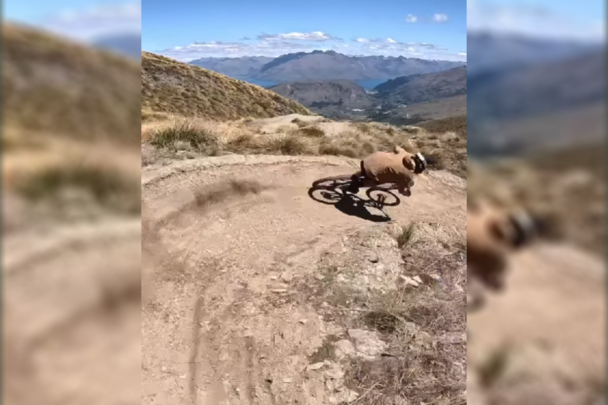 Pros Put On A Cornering Masterclass At Idyllic New Zealand Bike Park