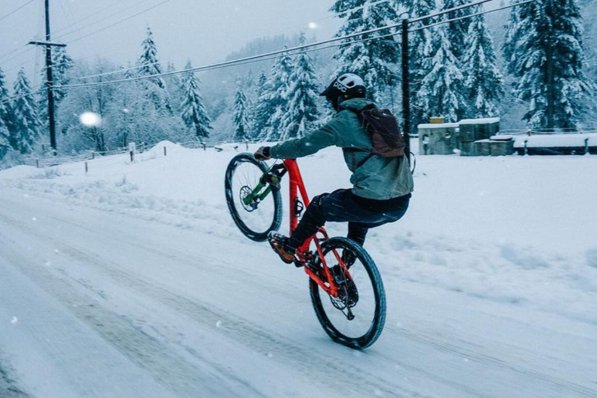 Rare Washington Snowstorm Does Not Stop Transition Employee From Riding ...