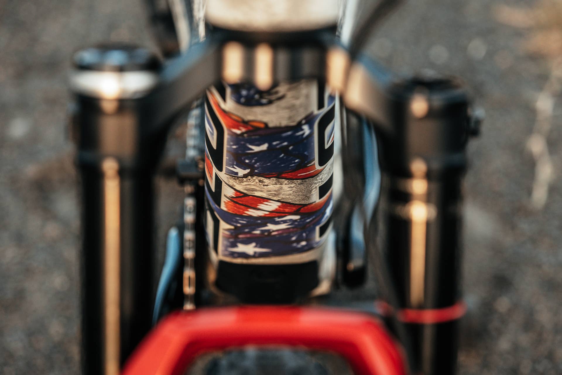 Inspiring Creativity: Bjorn Riley Shares His Custom-Painted Scott Spark
