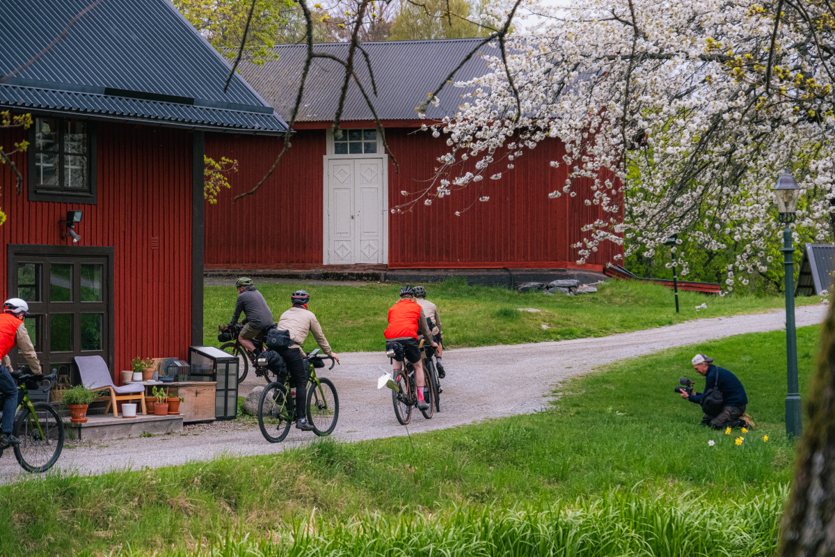 What To Know About Bikepacking in Sweden