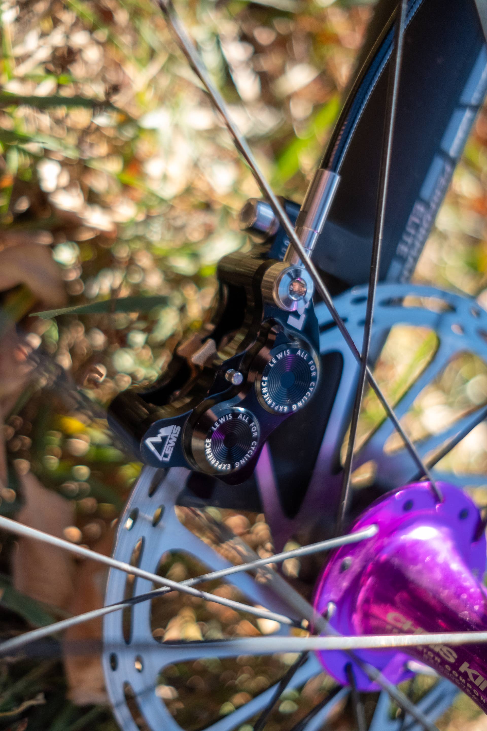 First Look at the Lewis Brakes LV4