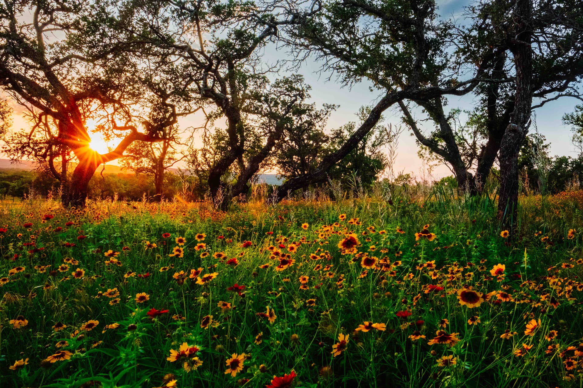 Mountain Biking Destination: Texas Hill Country