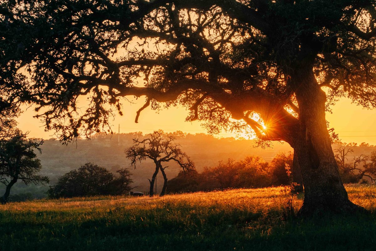 Post-Ride: Texas Hill Country