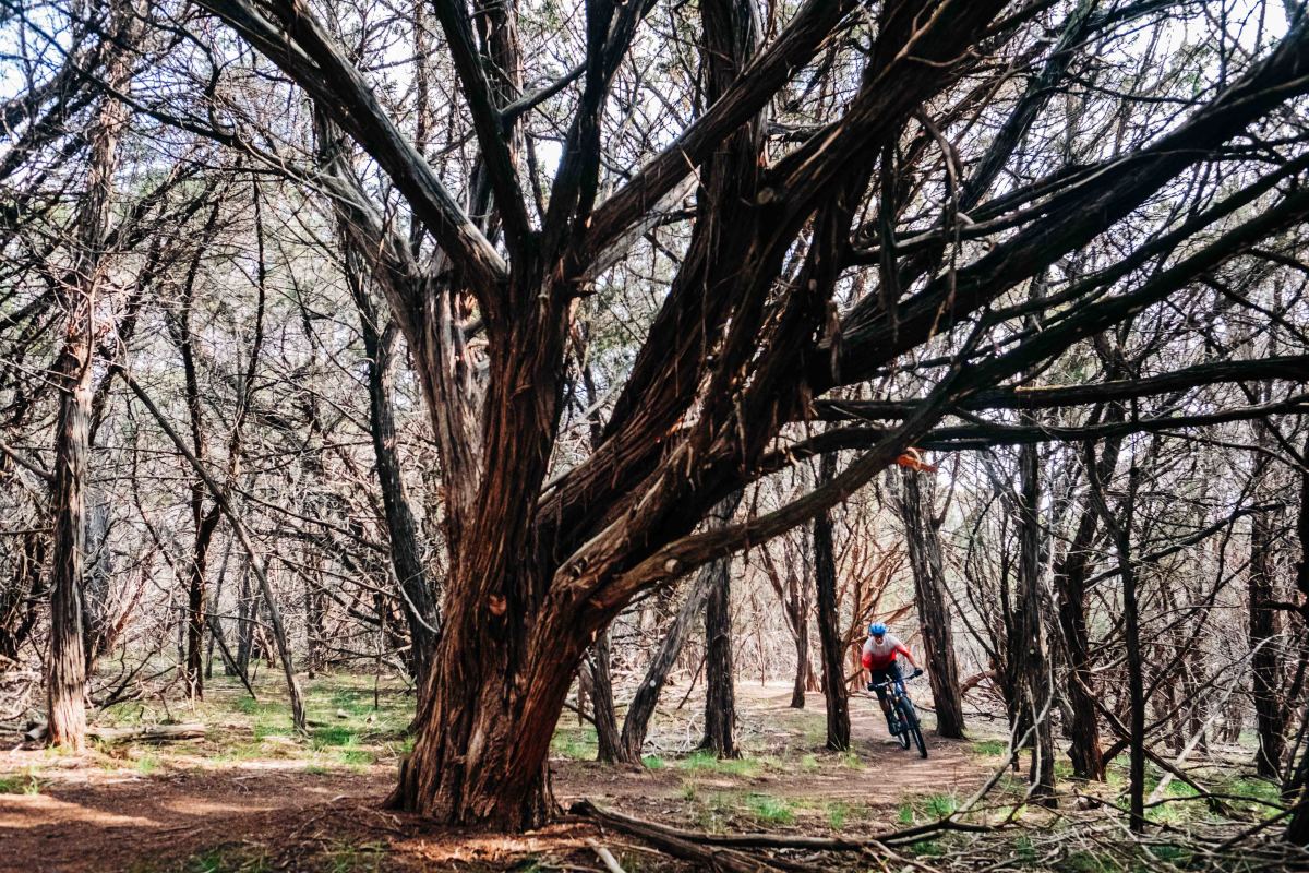 Post-Ride: Texas Hill Country