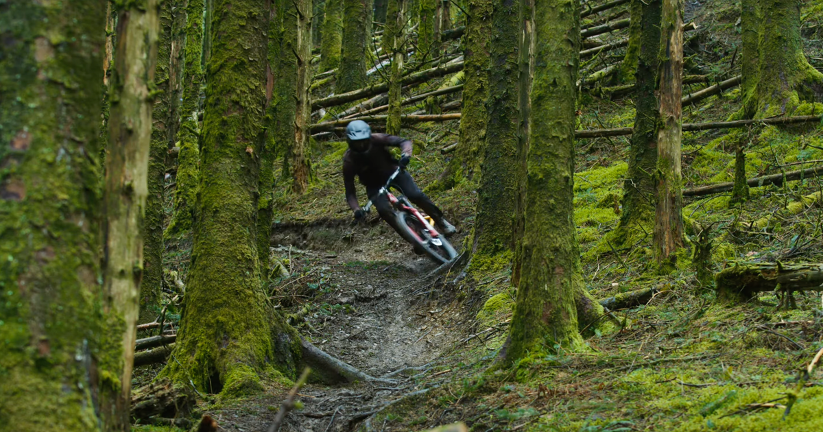 Alex Storr Shreds The New Dreadnought On His Home Trails - BikeMag