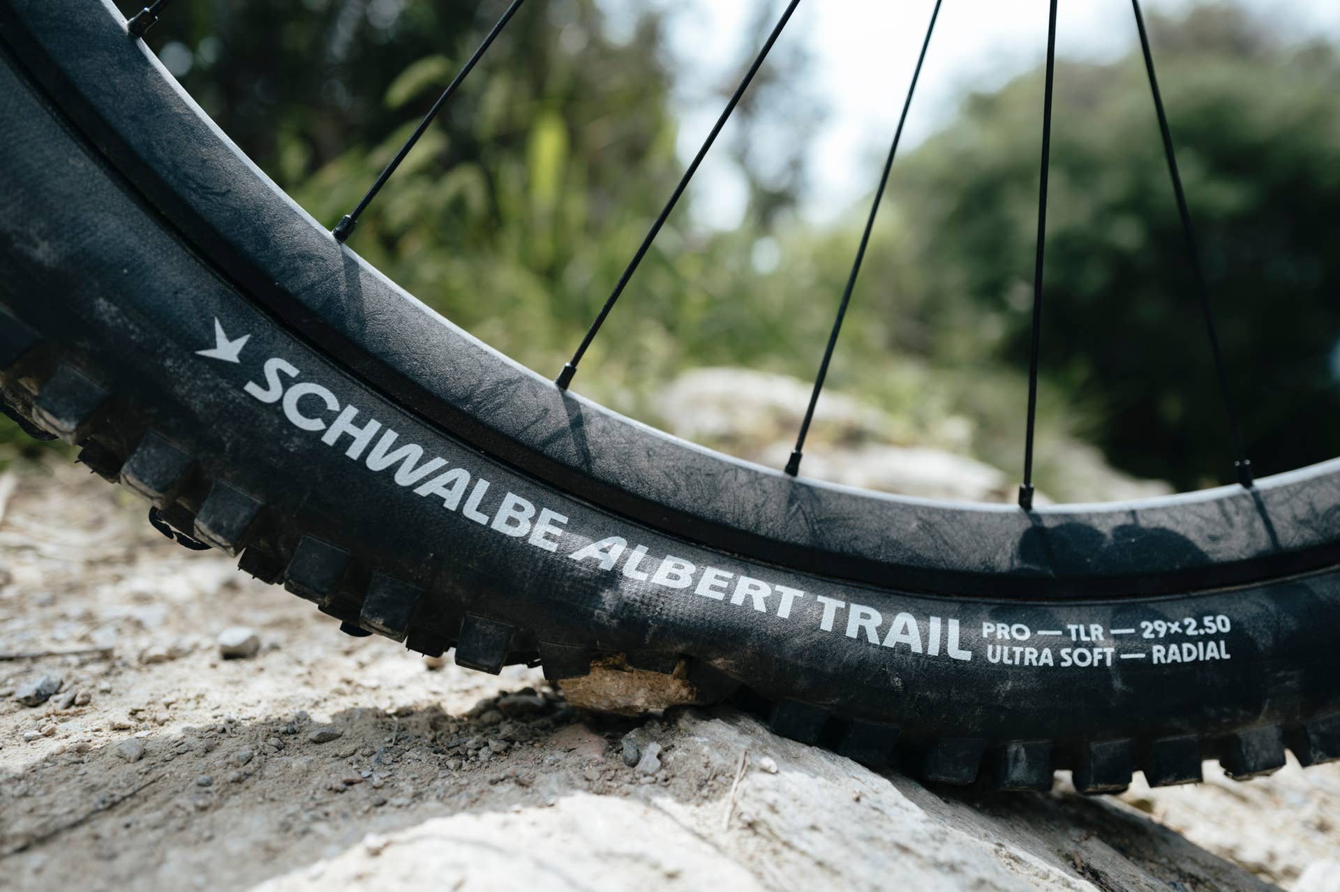Schwalbe Launches new Albert and Shredda Tires with Radial Construction ...